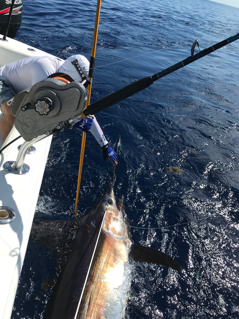 LP Electric Reels: Elevate Your Fishing Adventures – Lindgren-Pitman