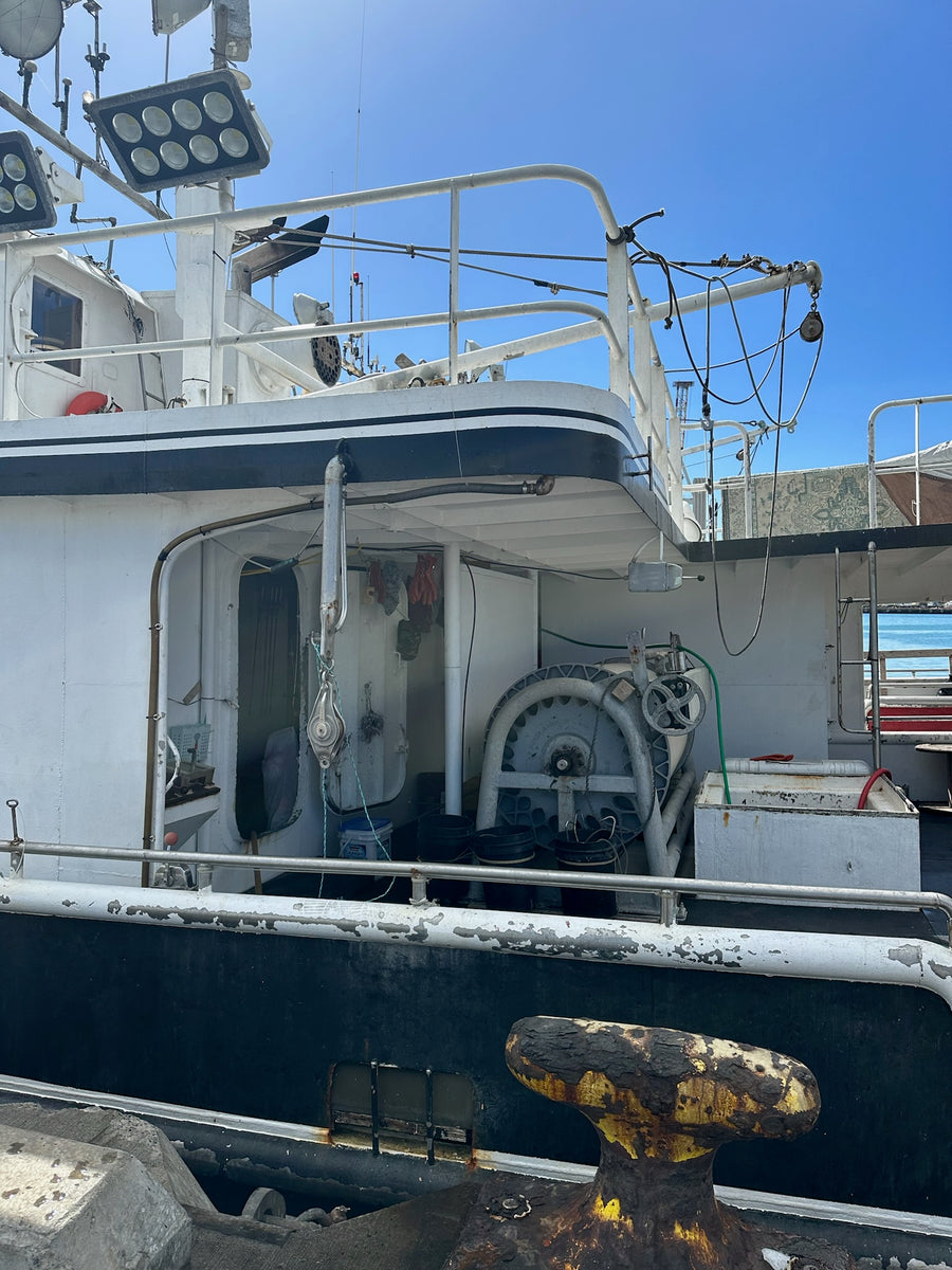 Longline Fishing Systems: Precision and Performance by Lindgren-Pitman