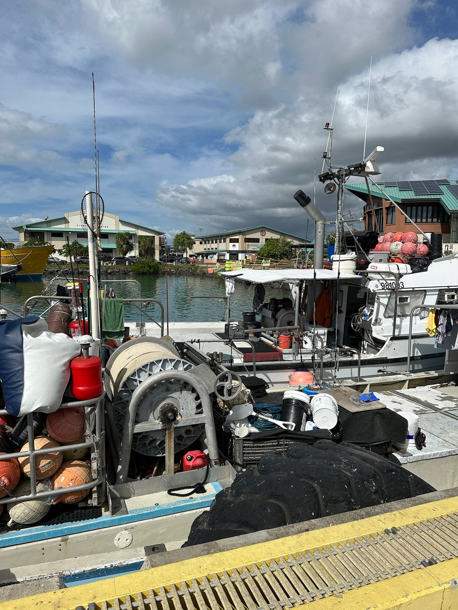 Longline Fishing Systems: Precision and Performance by Lindgren-Pitman