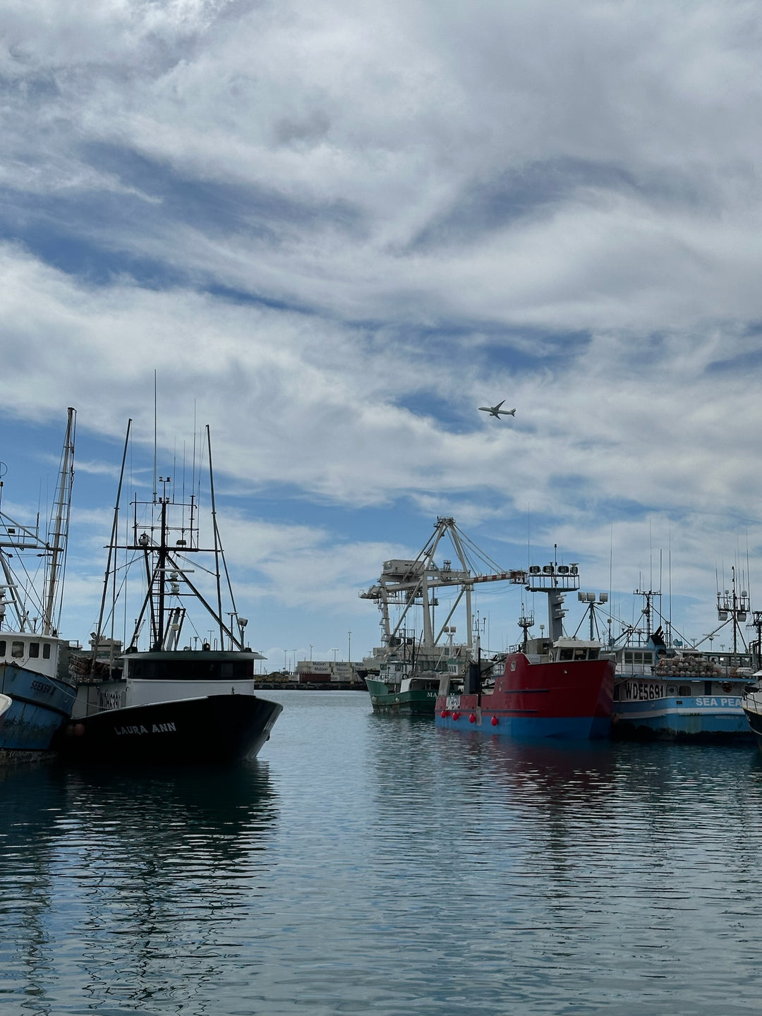 Longline Fishing Systems: Precision and Performance by Lindgren-Pitman